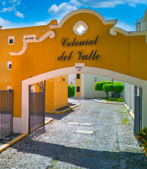 Colonial del Valle | PINSA ÁLICA